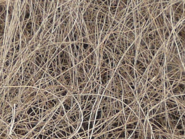 long dried grass texture 0011 - Texturelib